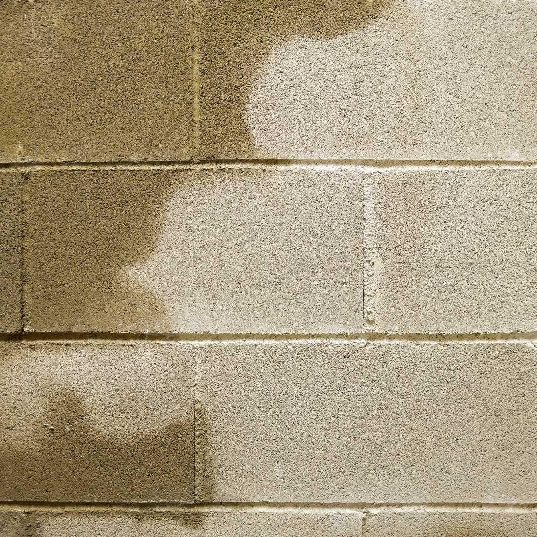 Diagnostic hygrométrie Dunkerque - DBT